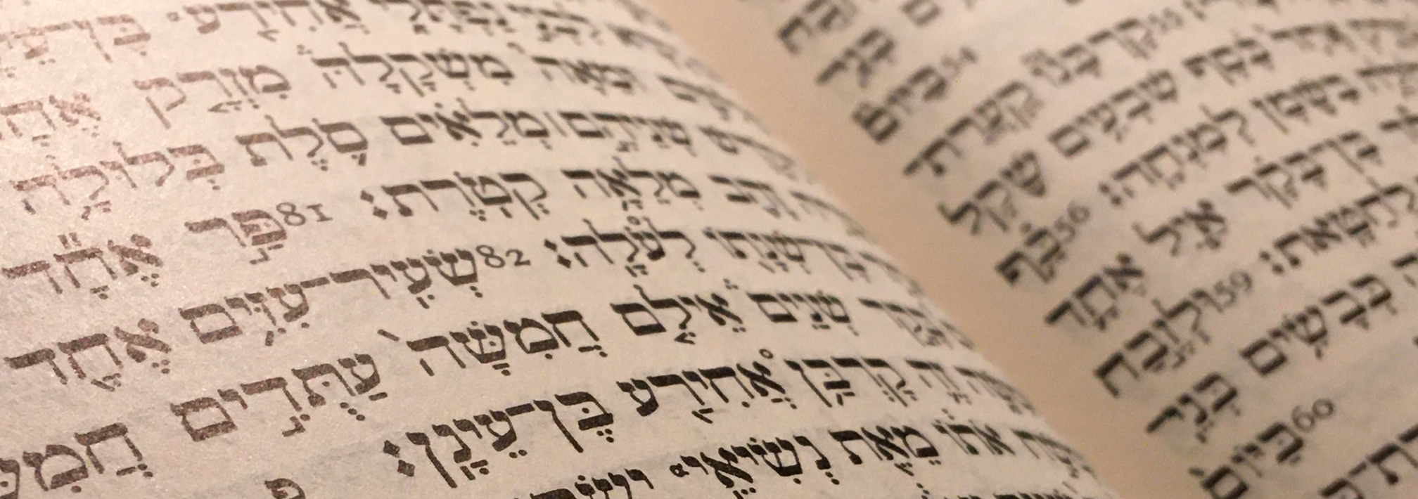 your hebrew tutor – helping you retain your hebrew